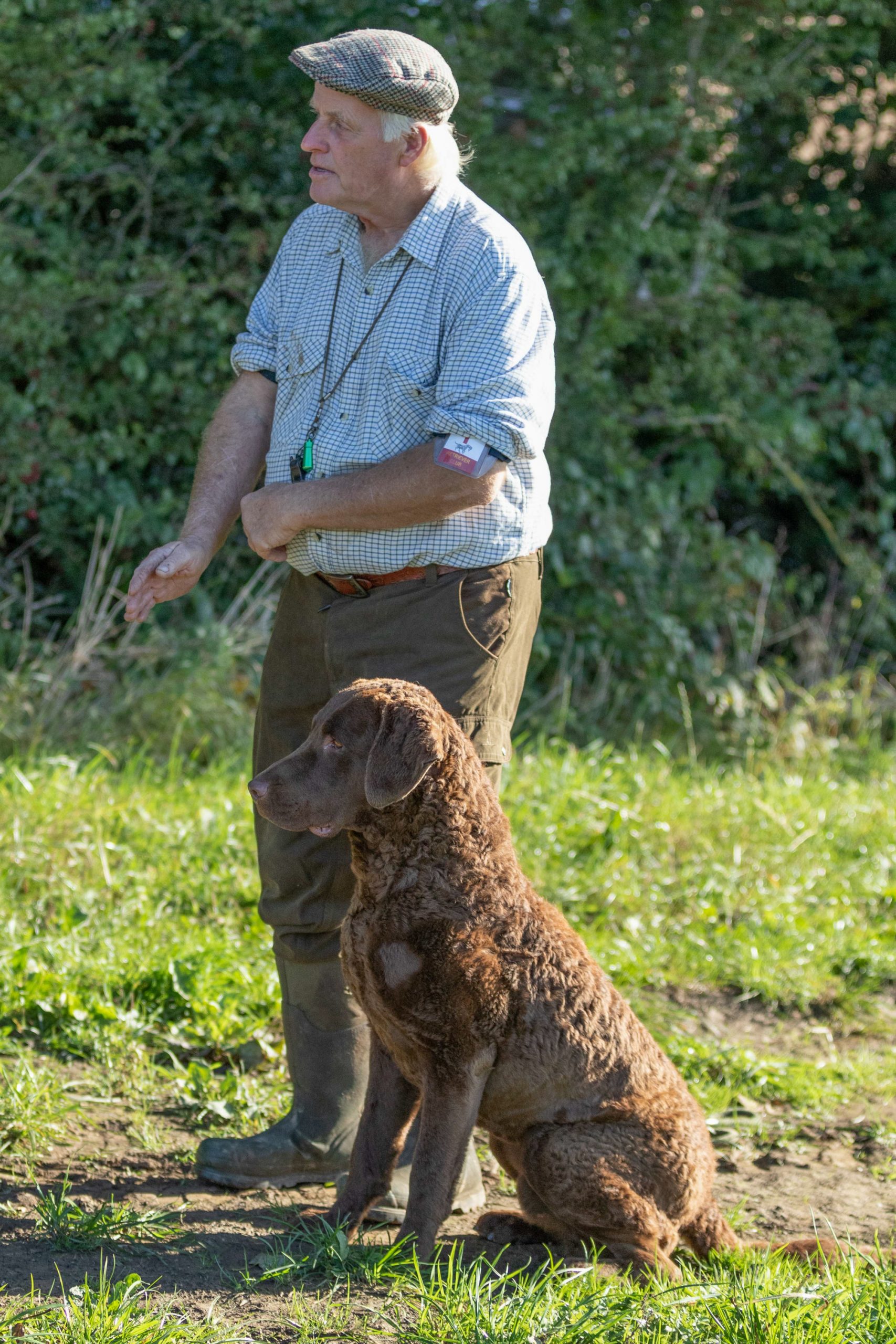 Breed News Weekly - 2 - Chesapeake Bay Retriever Club